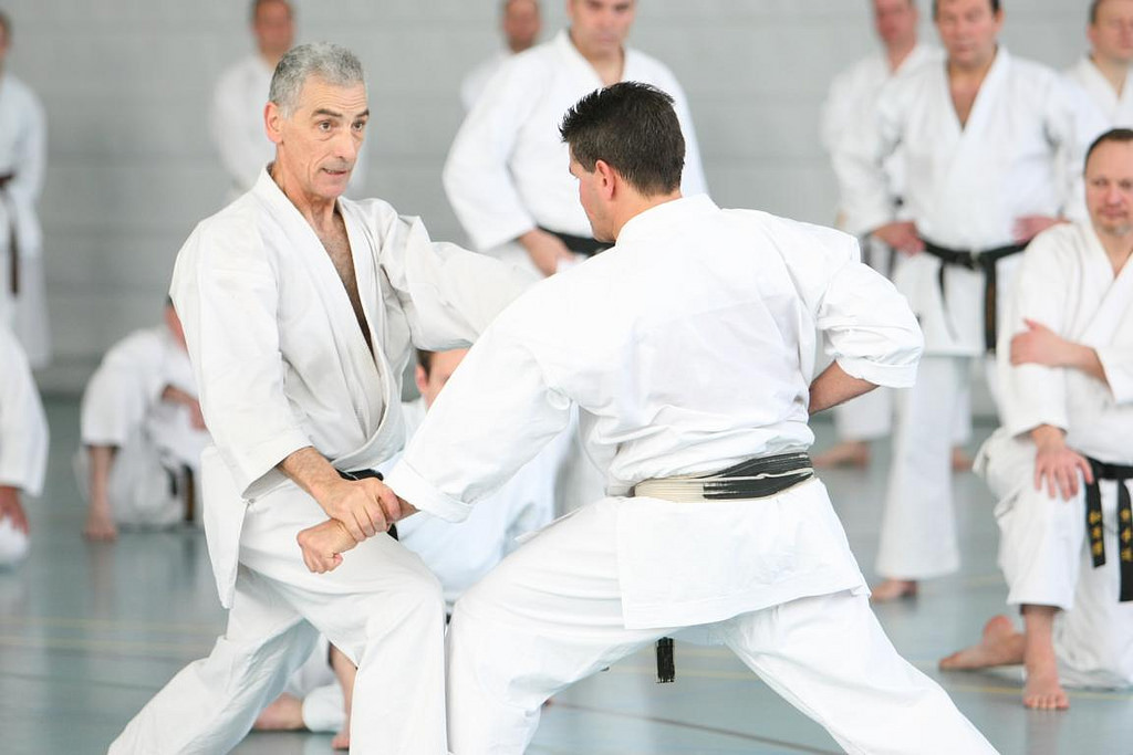 Karate Lehrgang mit Carlo Fugazza am 19.10.2024 – Karate Dojo Zanshin ...